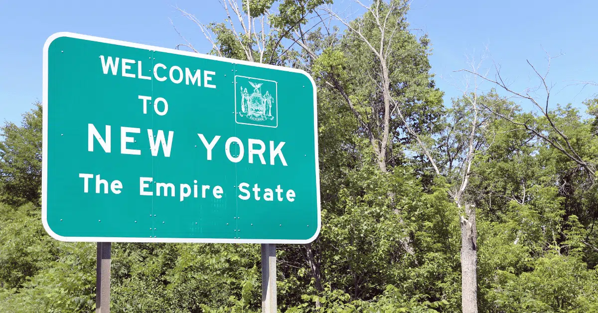 The Difference Between CUNY and SUNY in the New York State University ...